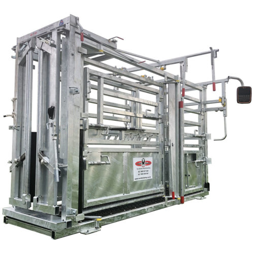 Cattle Handling - Combi Clamp